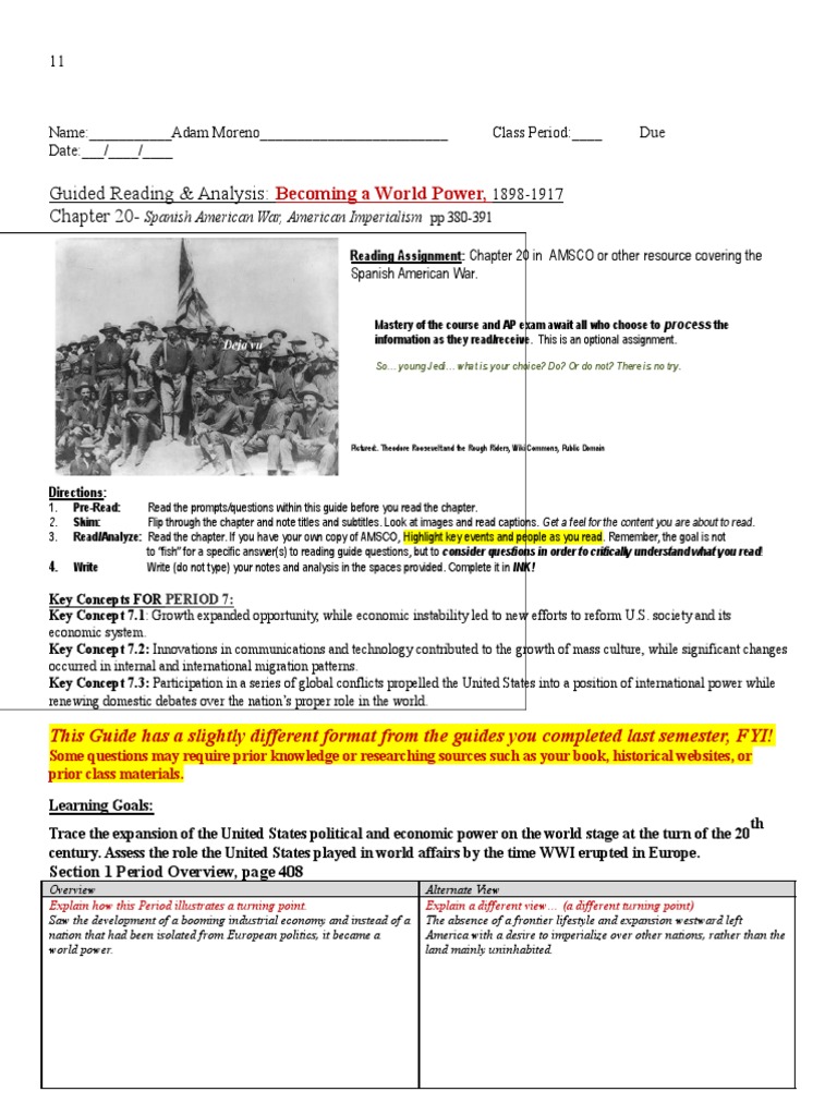 AMSCO Chapter 20 | PDF | William Mc Kinley | Theodore Roosevelt