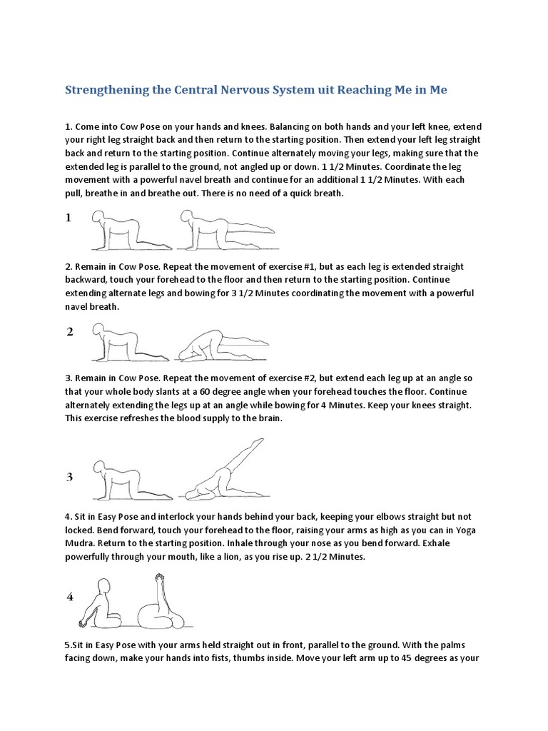 Central Nervous System Strengthening Exercises | PDF | Human Anatomy