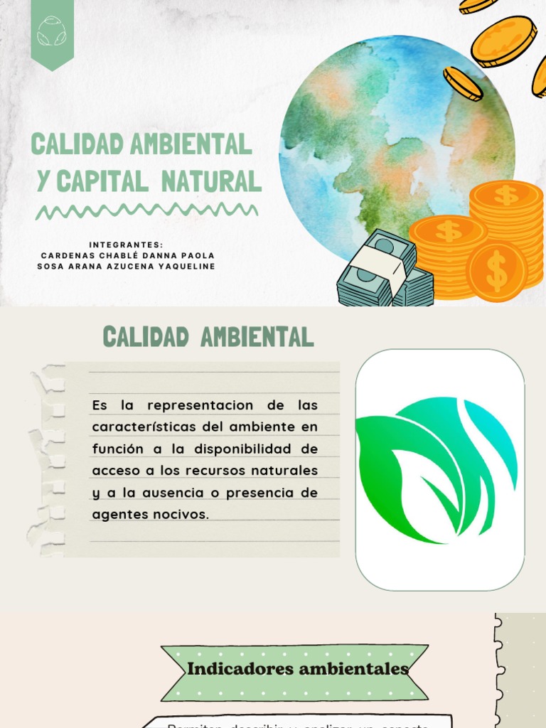Calidad Ambiental y Capital Natural - Equipo 2 | PDF