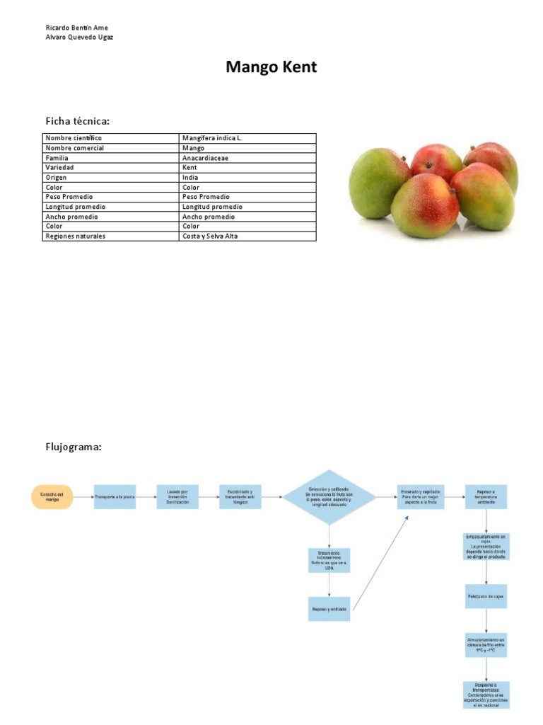 Ficha Técnica del Mango Kent | PDF