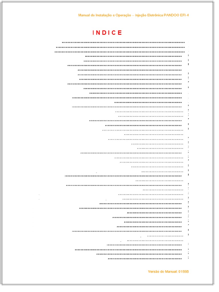 Manual de Instalação e Operação Injeção Eletrônica PANDOO EFI-4 | PDF