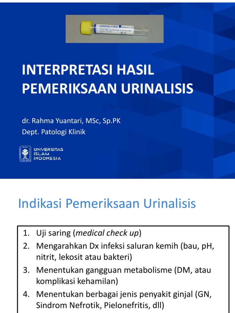 Panduan Lengkap Urinalisis Medis | PDF | Sains & Matematika