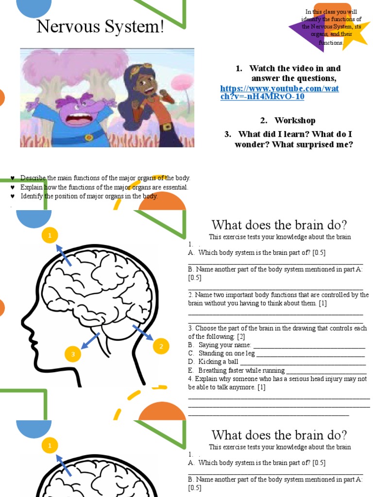 6° Science 21-22 - Cycle 3 - Homework - Cycle 4 - Class 3 - Nervous ...