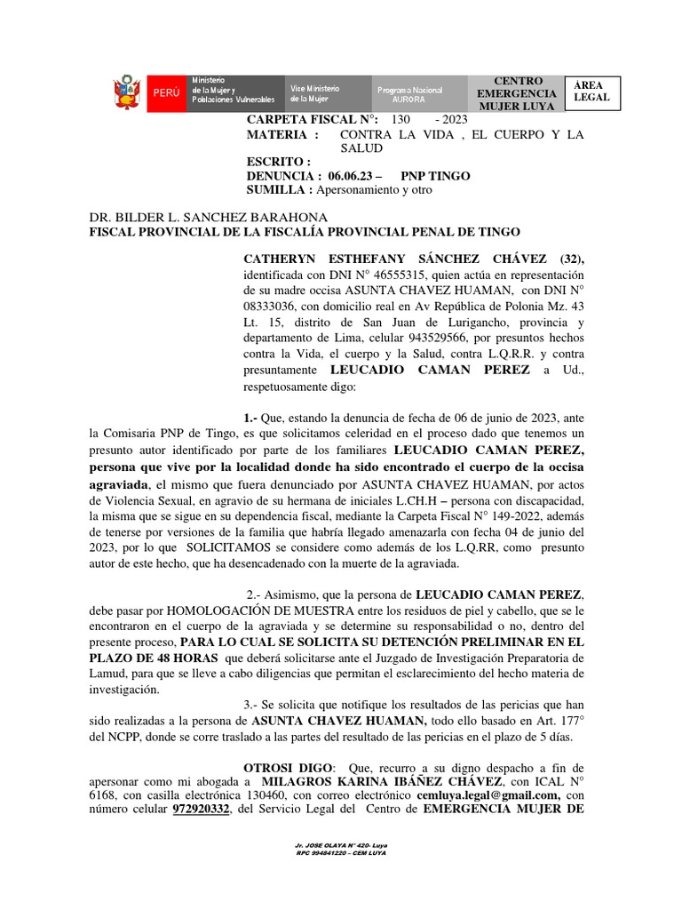 Escrito Apersonamiento Katherin | PDF | Justicia | Crimen y violencia