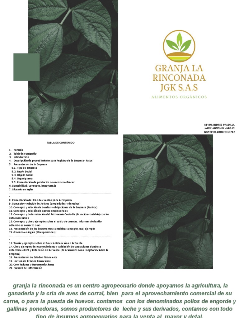 La - Rinconada - Contabilidad 2 | PDF