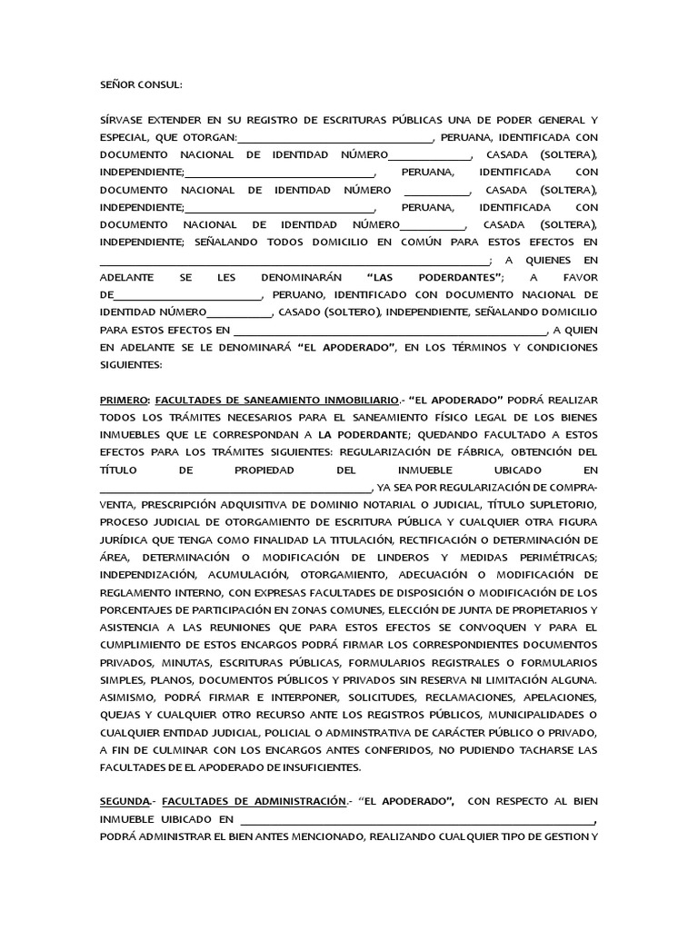 Modelo de Minuta Poder Consular General y Especial Esb | PDF | Mandato ...