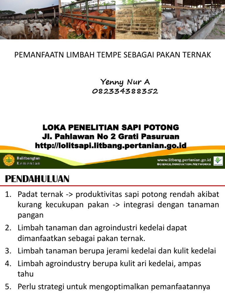 Pemanfaatan Limbah Tempe SBG Pakan Ternak | PDF