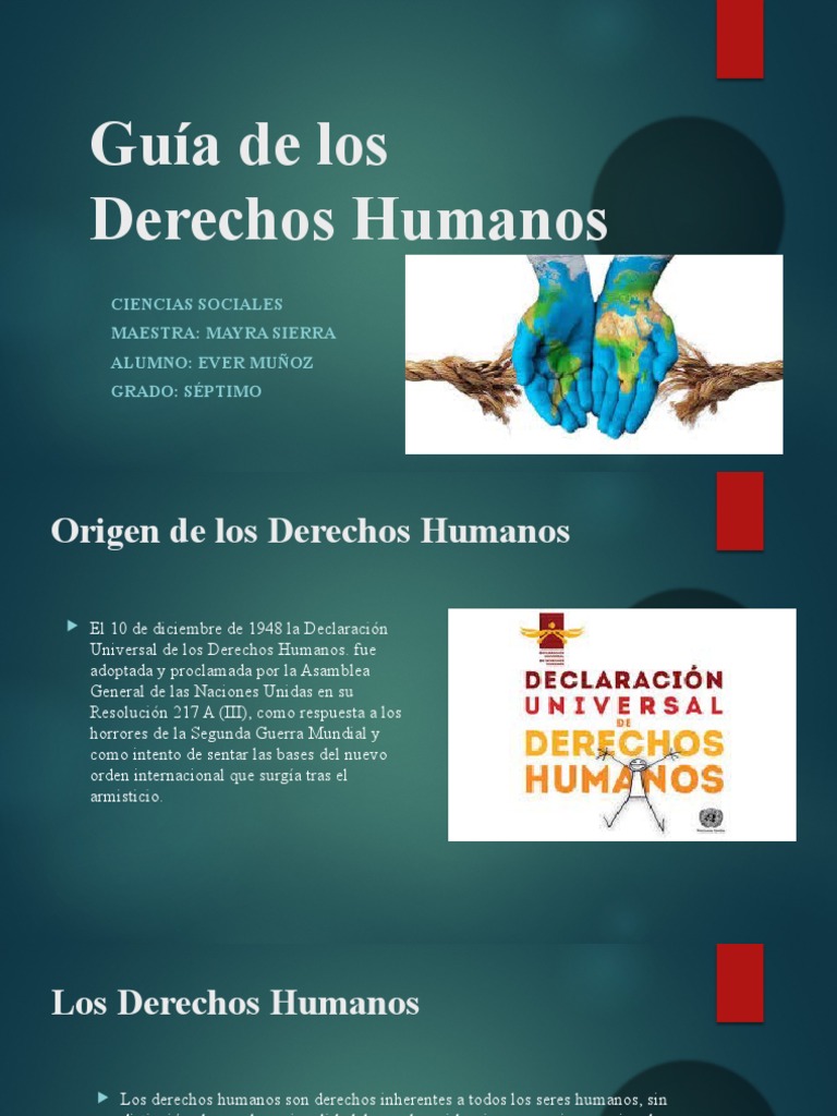 Guía de Los Derechos Humanos | PDF | Derechos humanos | Constitución