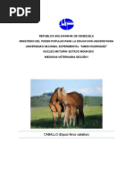 Características del Caballo Equus ferus | PDF | Caballos | Zoología