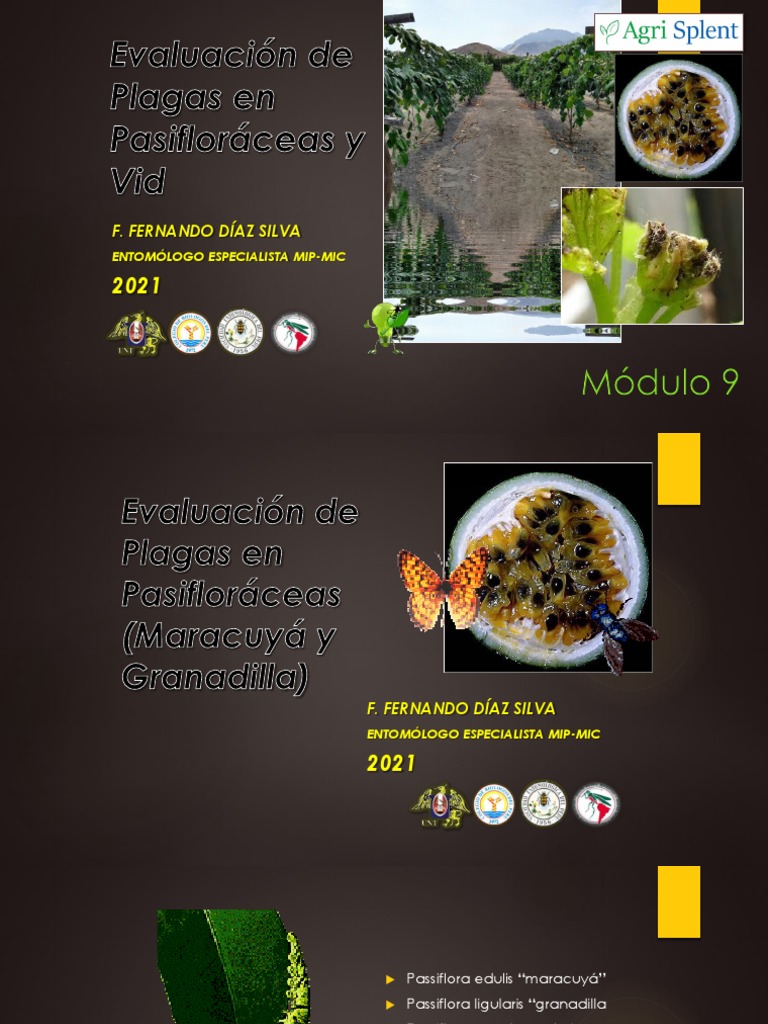 Modulo9-Evaluación-Plagas-Pasifloraceas y Vid-Mar2021 | PDF | Virus | Nematodo