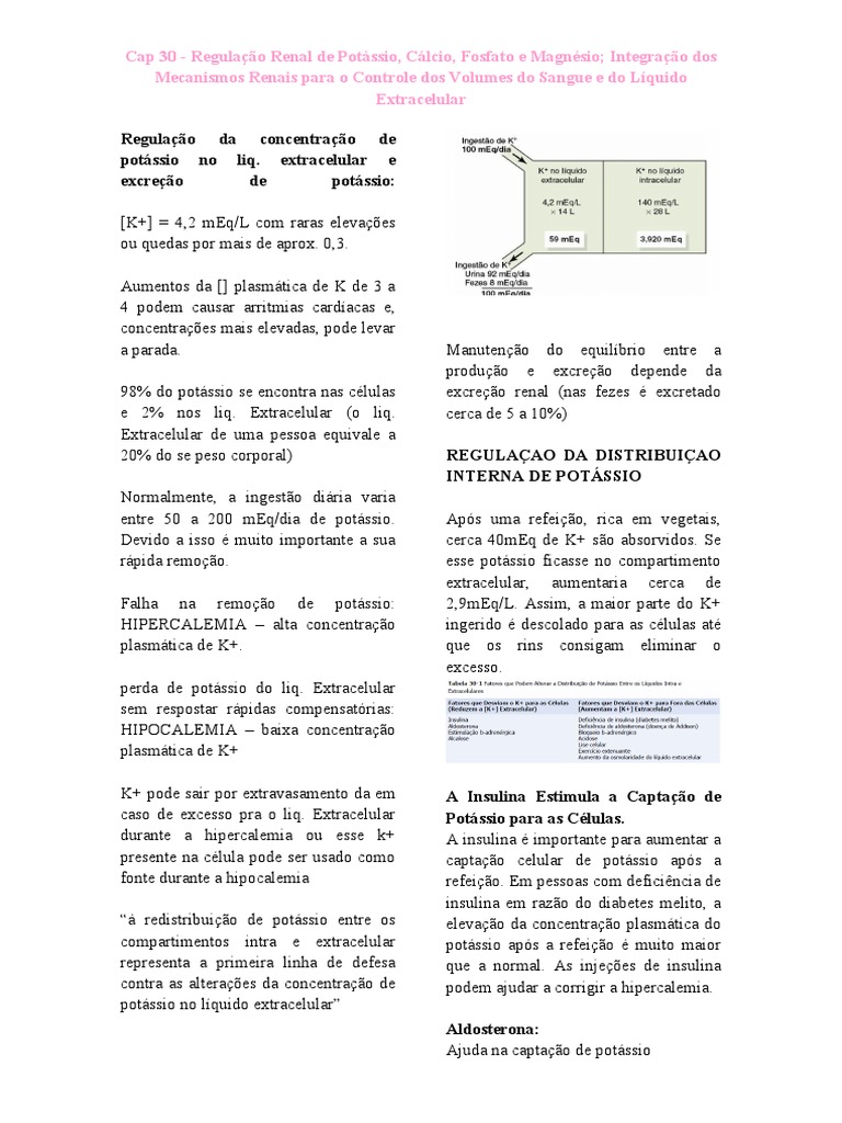 Resumo Cap 30. Guyton | PDF | Rim | Anatomia