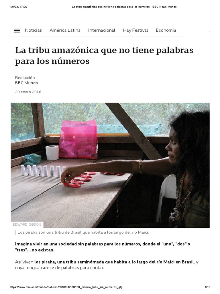 La tribu amazónica que no tiene palabras para los números - BBC News Mundo | PDF | Tribu