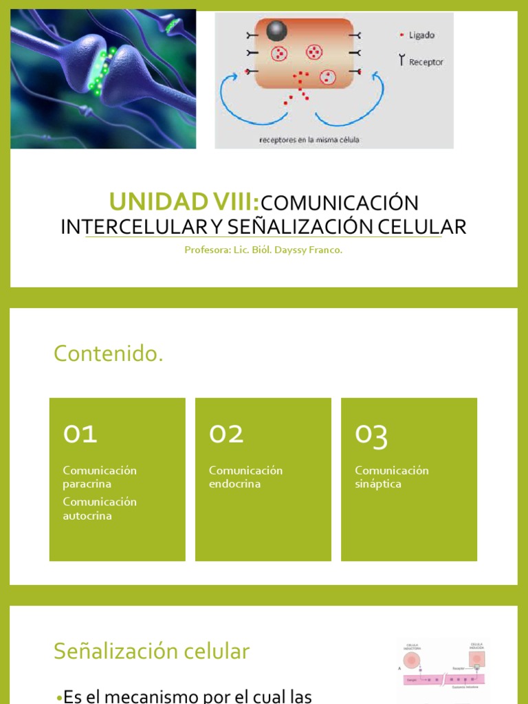 Unidad Viii Comunicación Intercelular y Señalización Celular ...