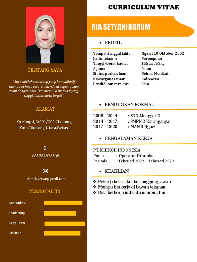 CV Desain Ria Setyaningrum | PDF