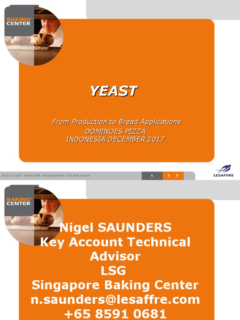 Yeast Presentation General and Frozen Process 2 | PDF