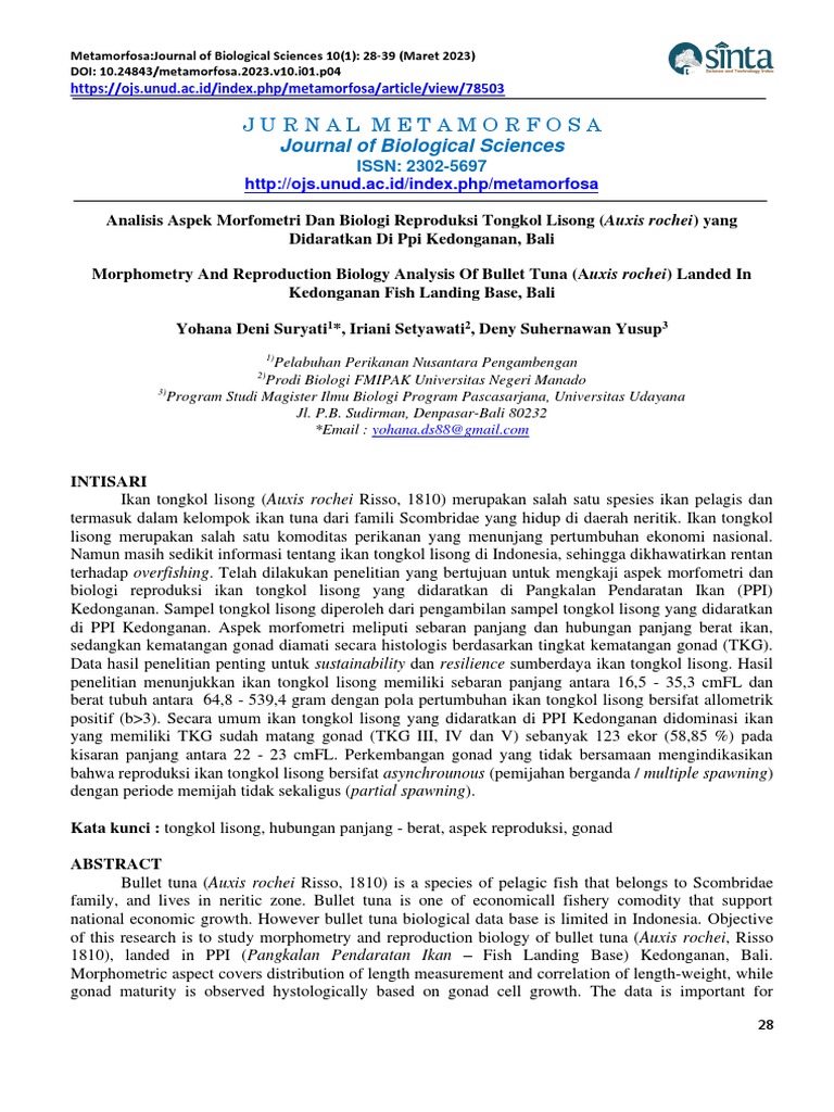 Lisong Kedonganan | PDF