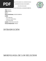 Tallos Modificados - Botánica | PDF | Tallo de la planta | Morfología ...