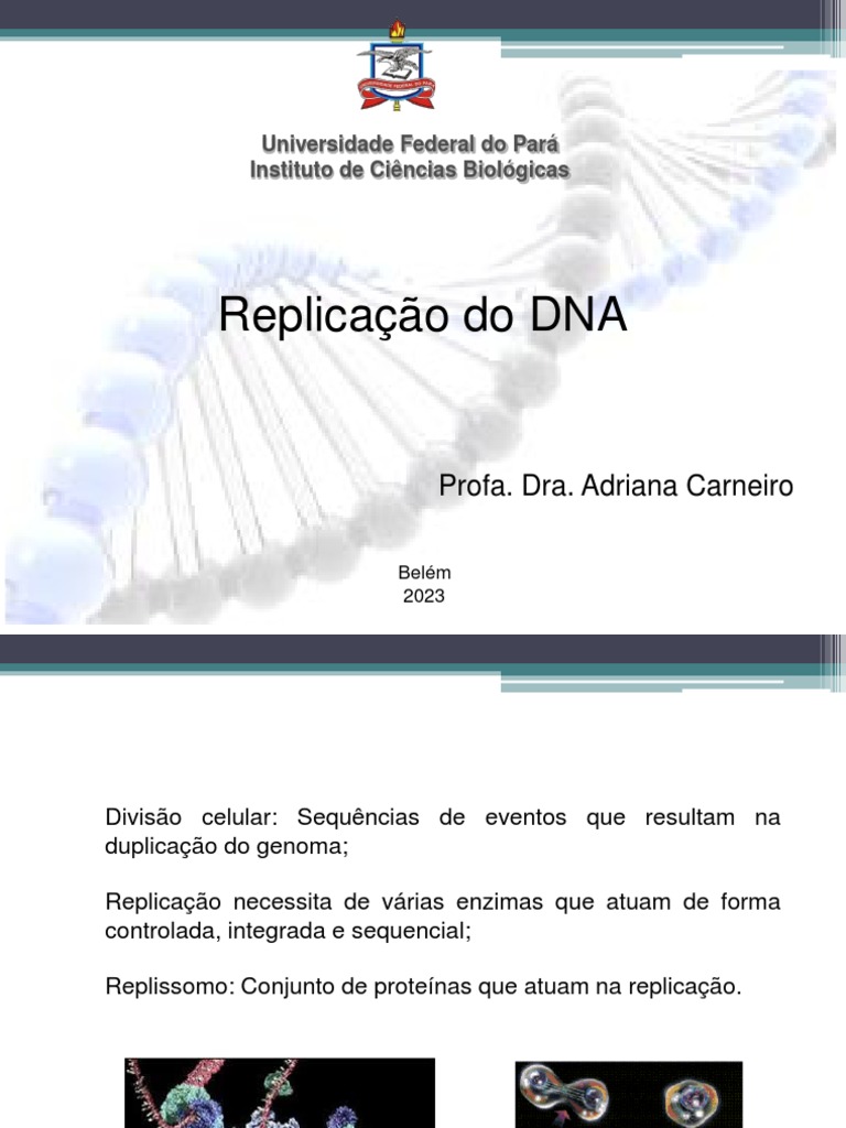 Aula 3 - Replicação Do DNA | PDF | Replicação de DNA | DNA