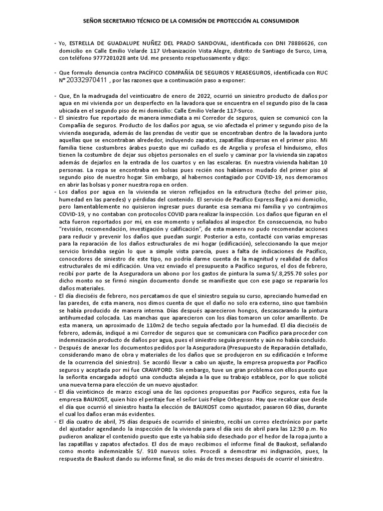 Modelo Denuncia COMISIÓN | PDF