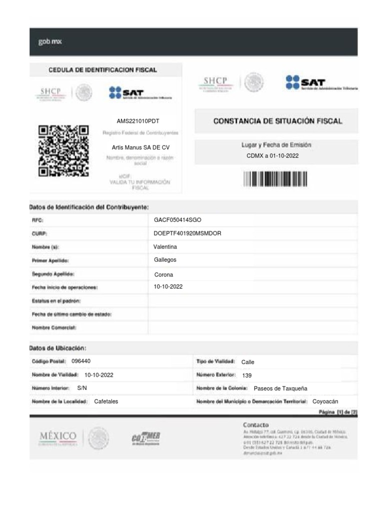 Formato de RFC | PDF