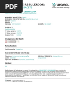 Prueba de Montenegro en Leishmaniasis | PDF | Sistema inmune ...