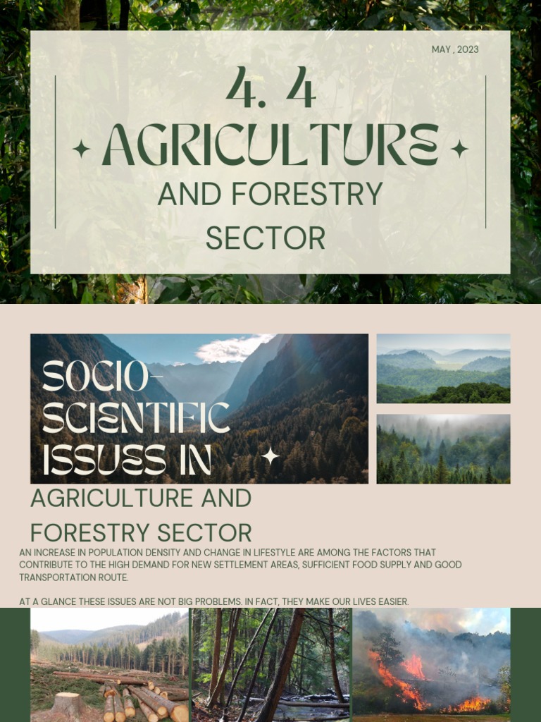 4.4 Agriculture and Forestry | PDF | Home & Garden | Science & Mathematics
