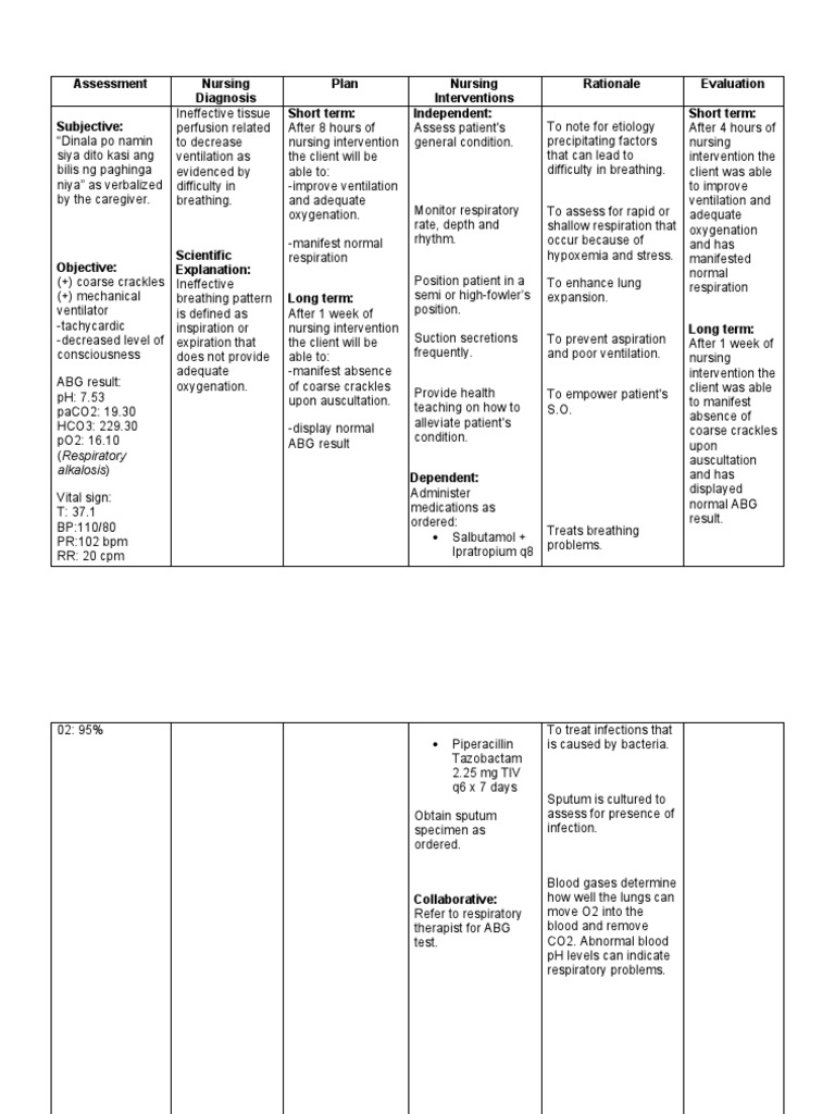 NCP Impaired Gas Exchange | PDF