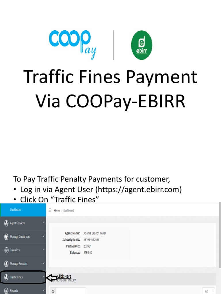 Traffic Fines | PDF