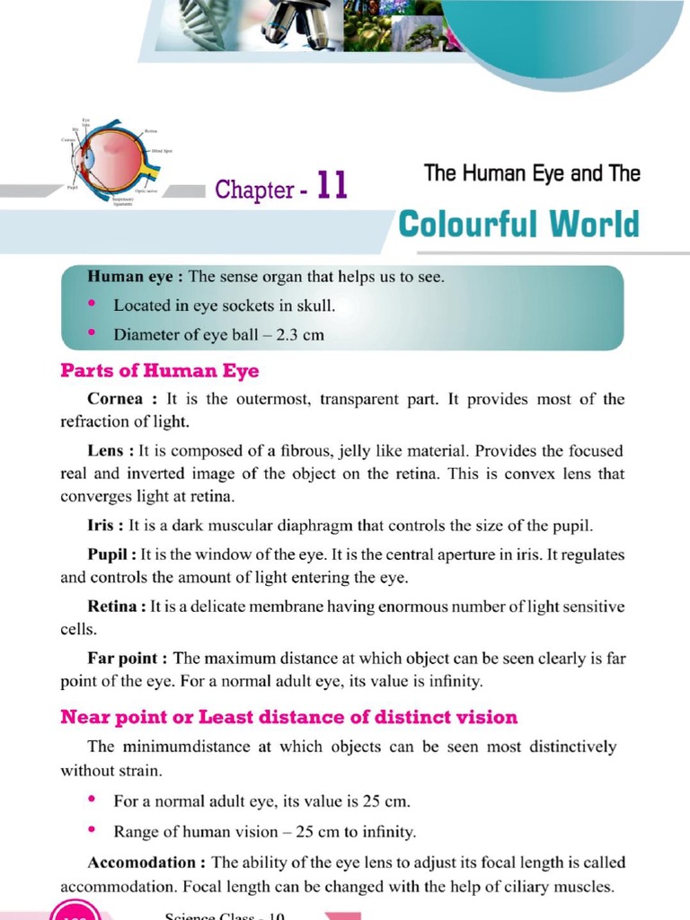 Class 10 Human Eye | PDF