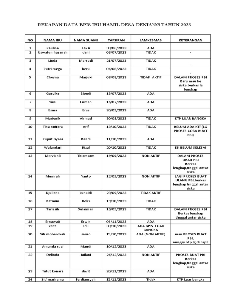 Rekap Data BPJS Ibu Hamil 2023 | PDF