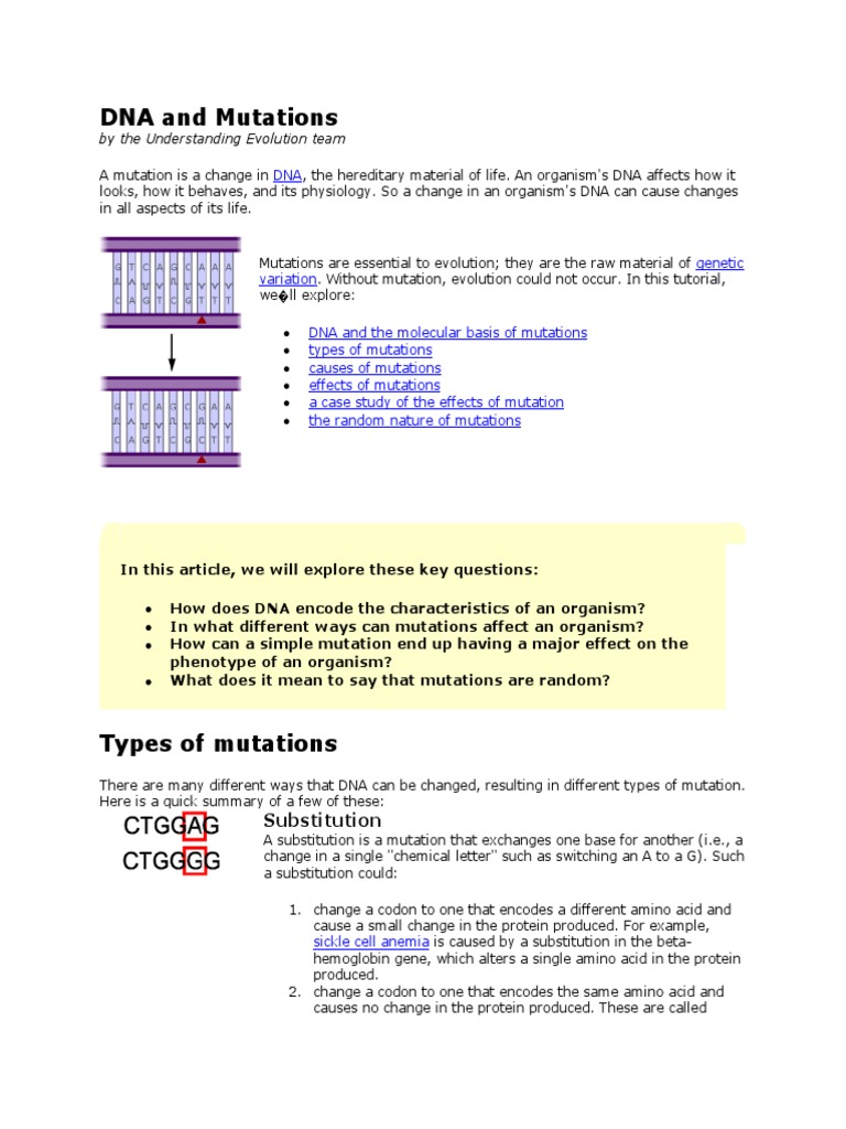 DNA and Mutations | PDF | Mutation | Point Mutation