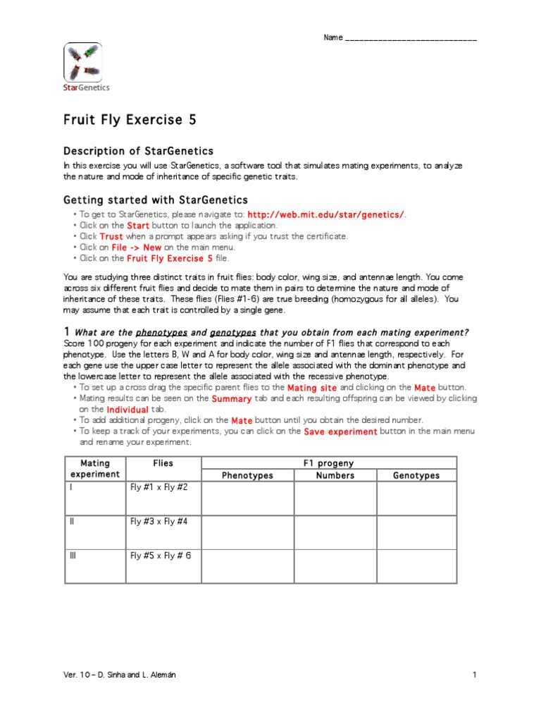 Fruit Fly Genetics Exercise Guide | PDF | Genotype | Dominance (Genetics)