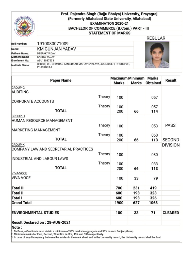 Golu Final Year | PDF | Business | Economies
