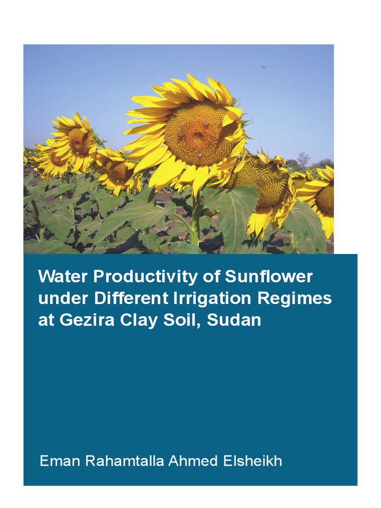 Water Productivity of Sunflower Under Different I-Wageningen University and Research 358024 ...