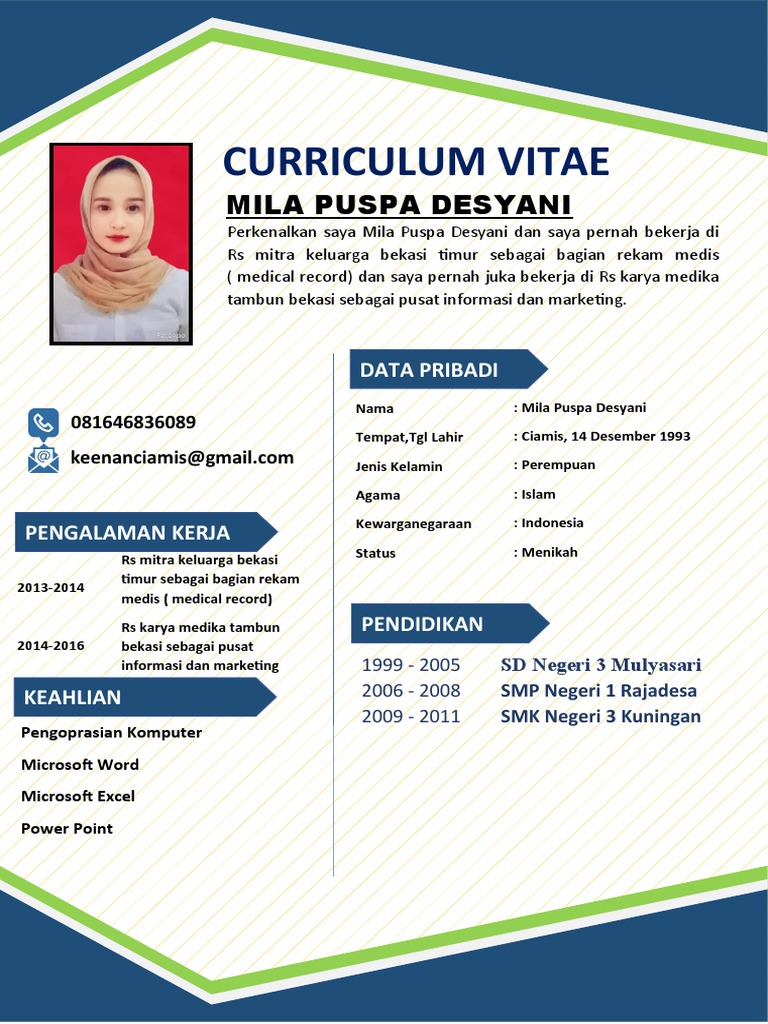 CV Versi#8 | PDF