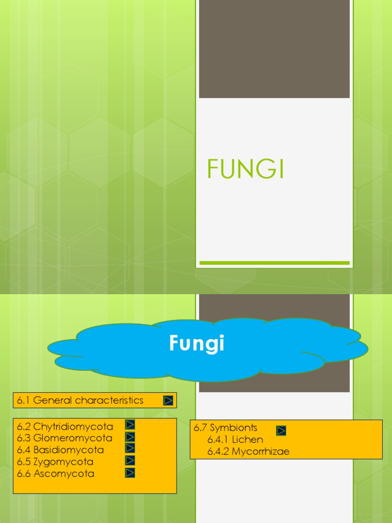 Chapter 6 Fungi Editted Download Free Pdf Fungus Sexual Reproduction