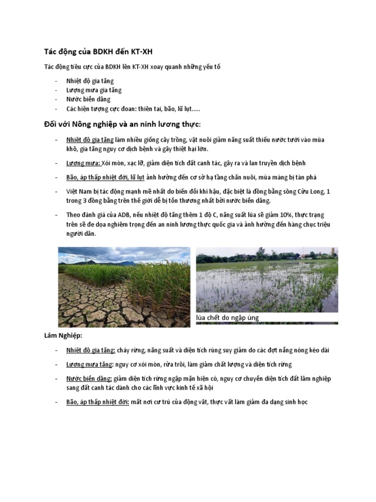 Tác động của BDKH đến KT | PDF