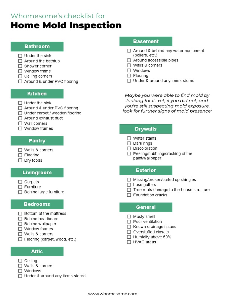 Whomesome's Mold Checklist | Download Free PDF | Basement | Home