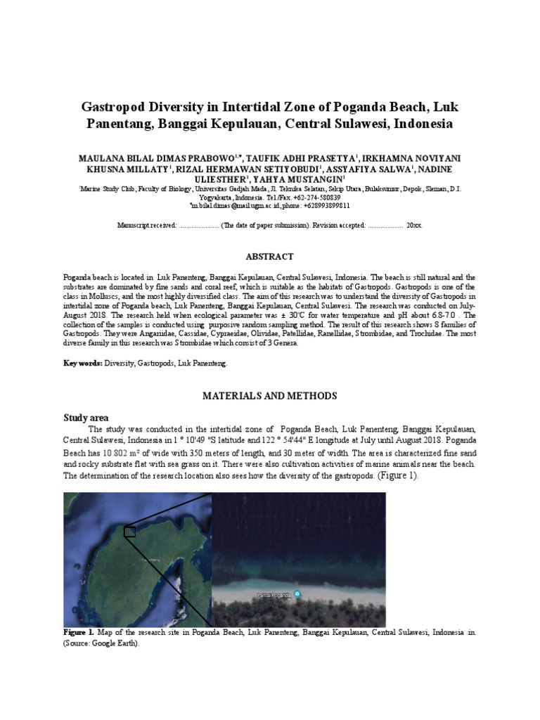 Gastropod Diversity in Intertidal Zone of Poganda Beach, Luk Panentang ...