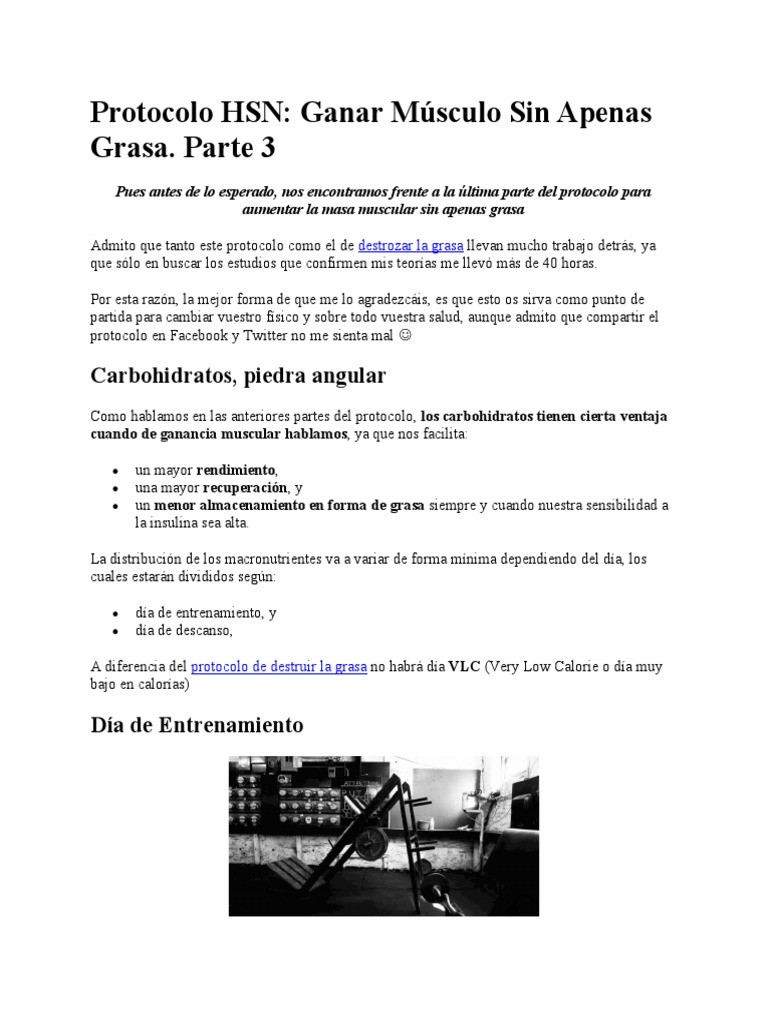 Protocolo HSN - Ganar Músculo Sin Apenas Grasa - Parte 3 | PDF ...