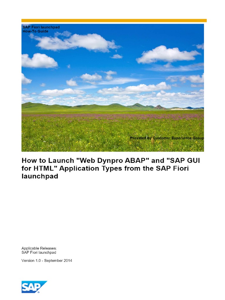 How to Launch Web Dynpro ABAP and SAP GUI for HTML From SAP Fiori | PDF
