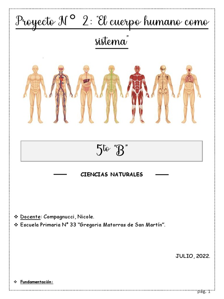 PROYECTO #2 LOS SISTEMAS DEL CUERPO HUMANO 5to 2022 | Descargar gratis ...