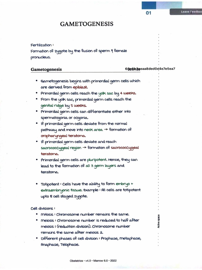 (Medicalstudyzone - Com) Obstetrics Ed 6 | PDF