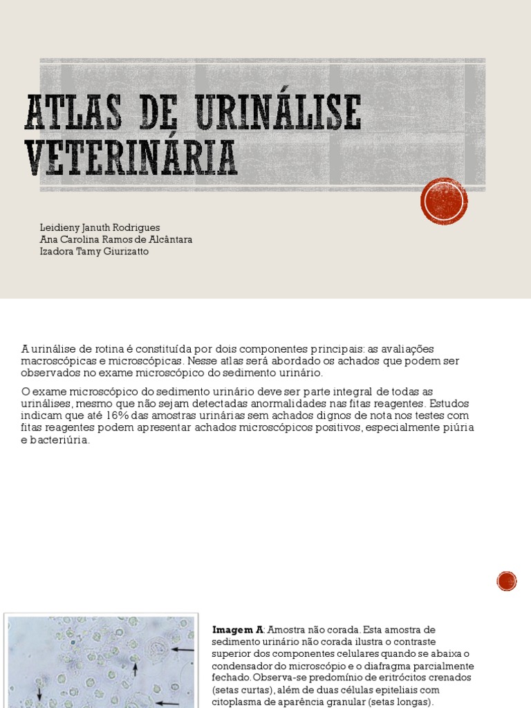 Atlas Urinalise | PDF | Bactérias | Célula (Biologia)