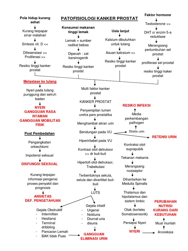 Patofisiologi Kanker Prostat | PDF