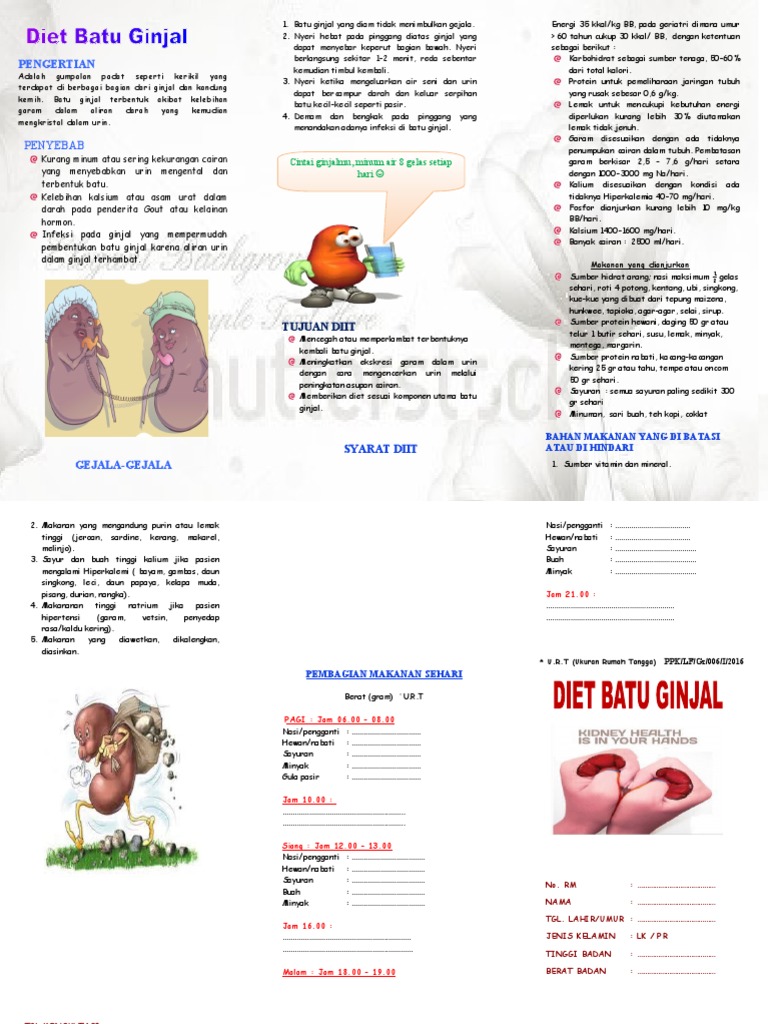 Leaflet Dietbatu Ginjal | PDF