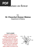 Flower | PDF | Plant Reproduction | Flowers