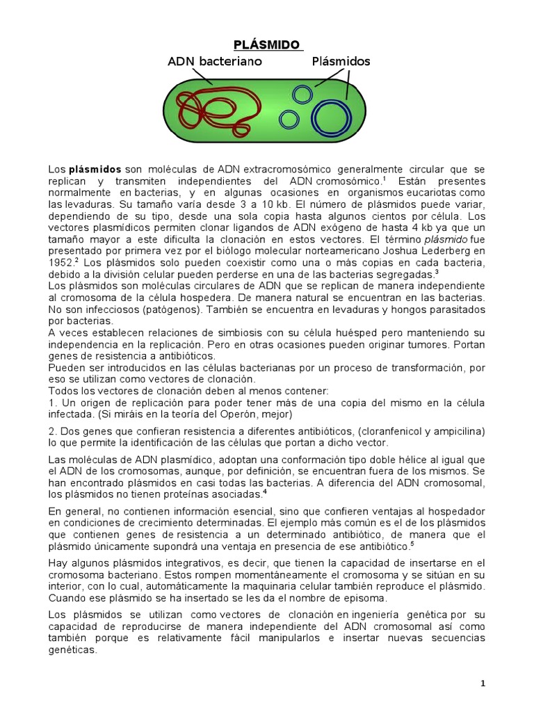 PLÁSMIDO | PDF | Plásmido | Elemento transponible