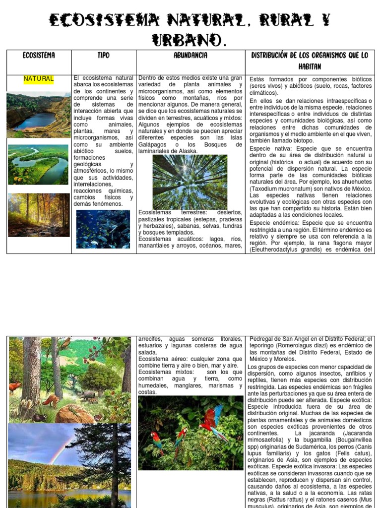 ECOSISTEMAS | PDF | Red alimentaria | Ecosistema