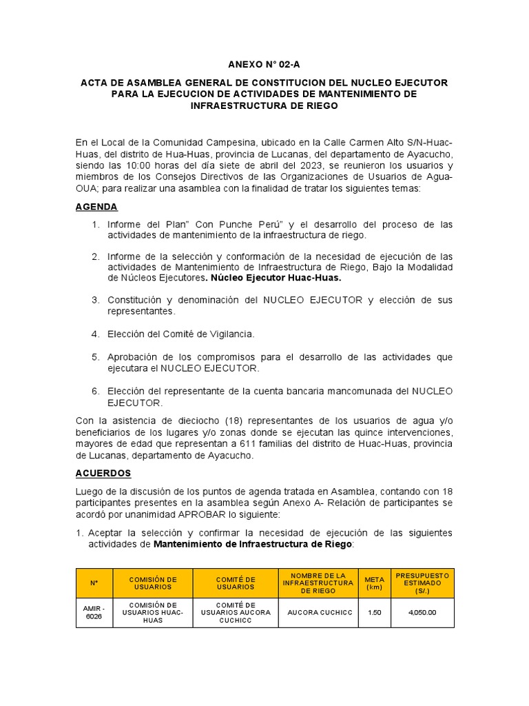 Constitución del Núcleo Ejecutor Huac-Huas | PDF